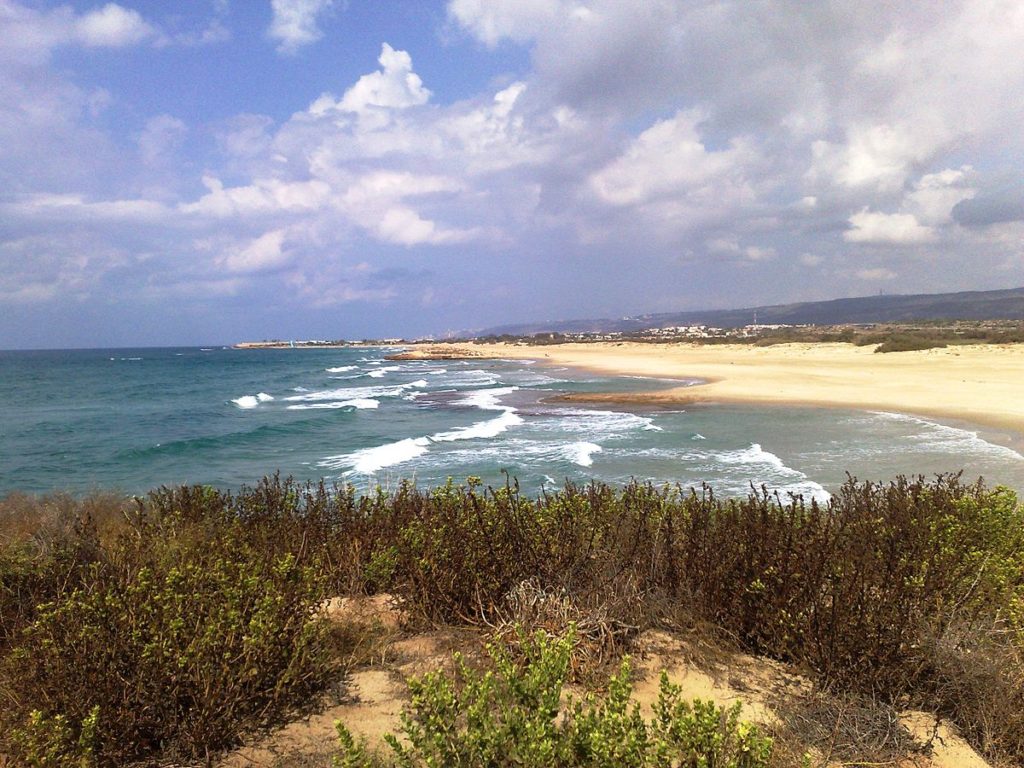 Haifa Beaches: The Full Guide - Israel by Locals