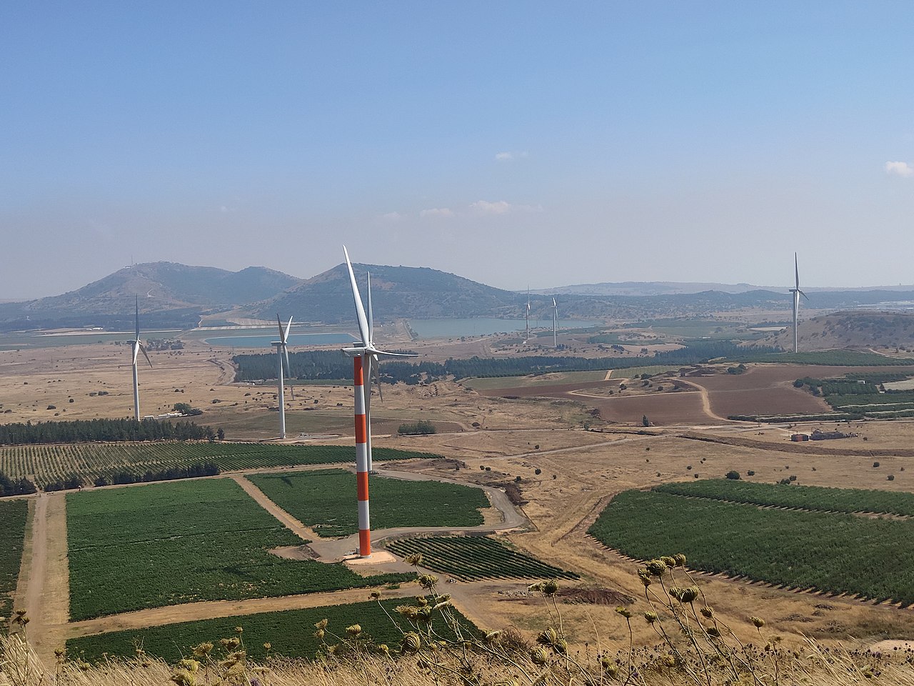 Emek HaBakha Wind Farm: A Beacon of Renewable Energy - Israel by Locals